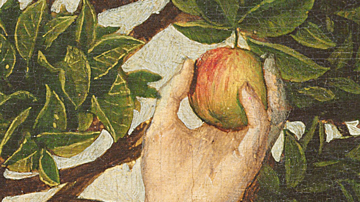 You don’t have a “sin nature” – joshuamcnall.com